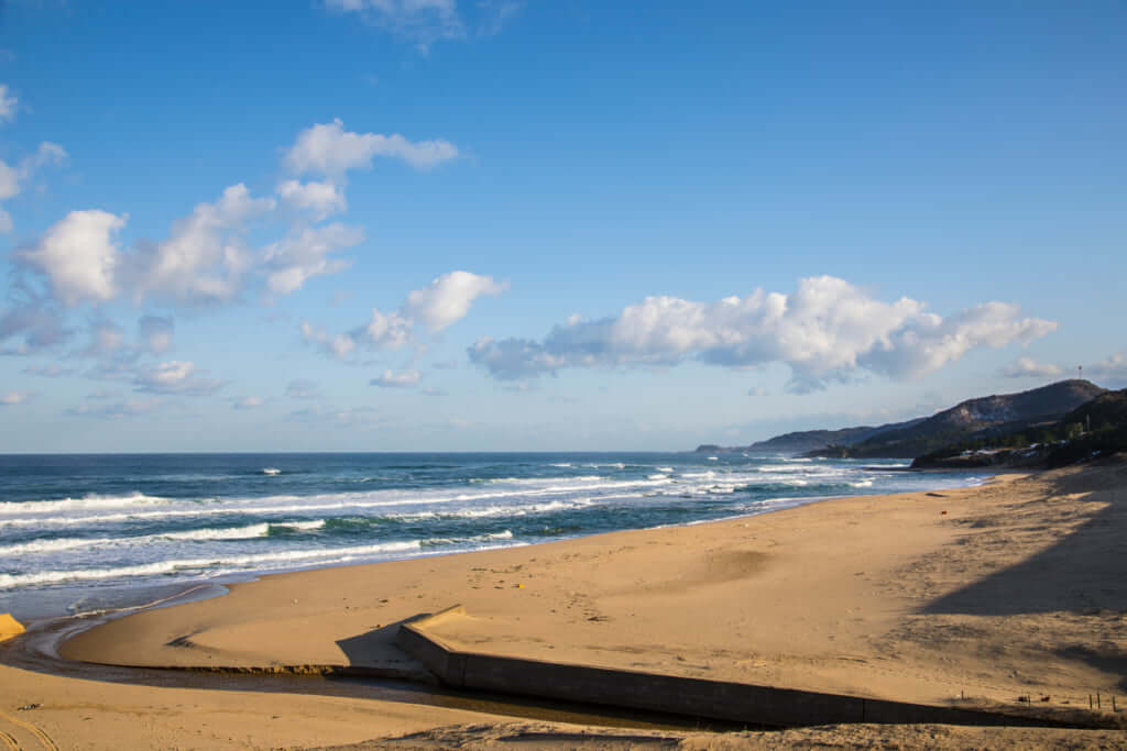 The Wild Tango Peninsula / Pen ペン