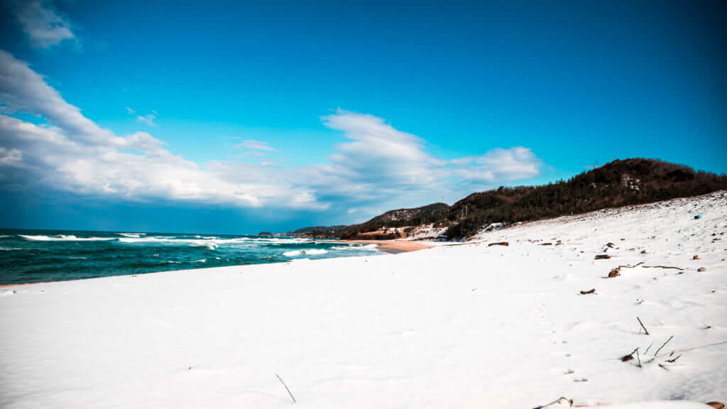 The Wild Tango Peninsula / Pen ペン